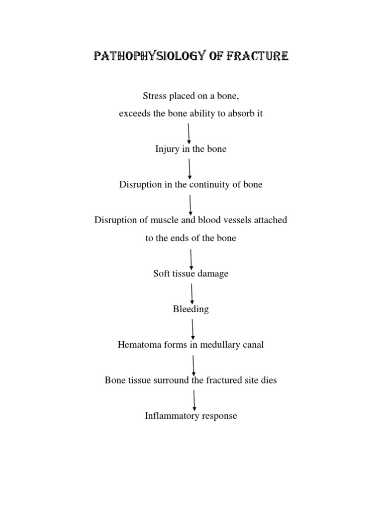 Pathophysiology of Fracture | PDF