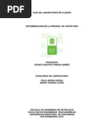 RGA, RS y Diferencia | PDF | Gases | Solubilidad
