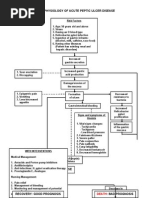 Pathophysiology of Appendicitis | PDF | Inflammation | Medical Specialties