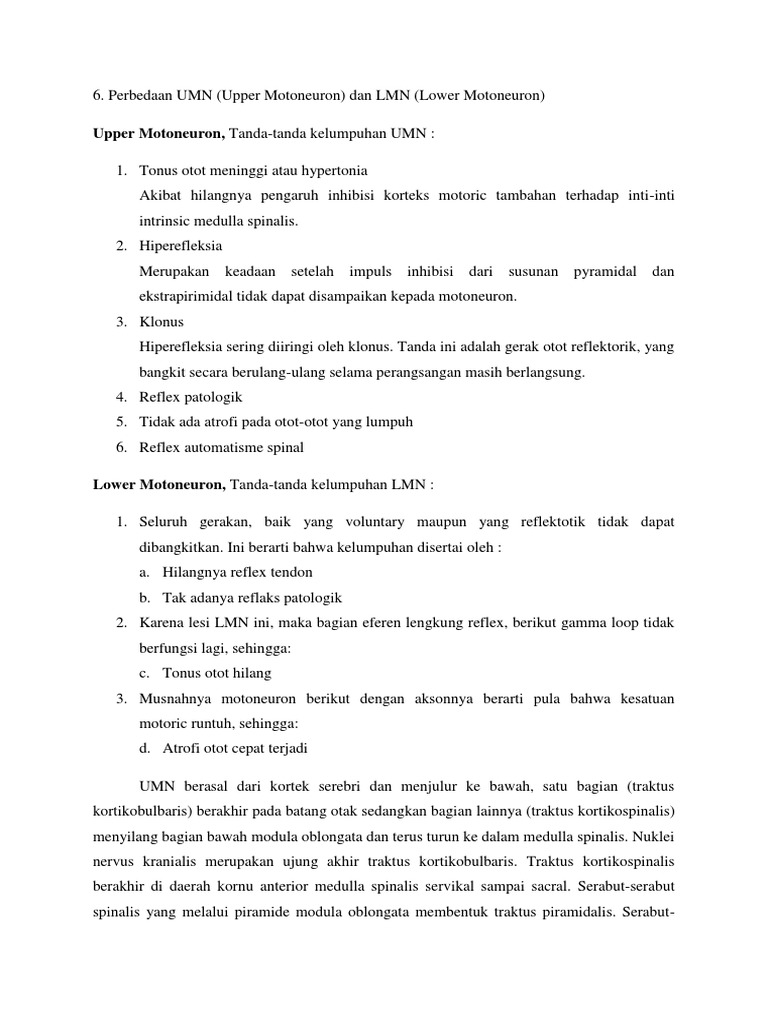 Perbedaan UMN Dan LMN | PDF