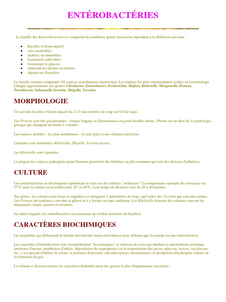 ENTÉROBACTÉRIES | PDF | Escherichia coli | Salmonelle