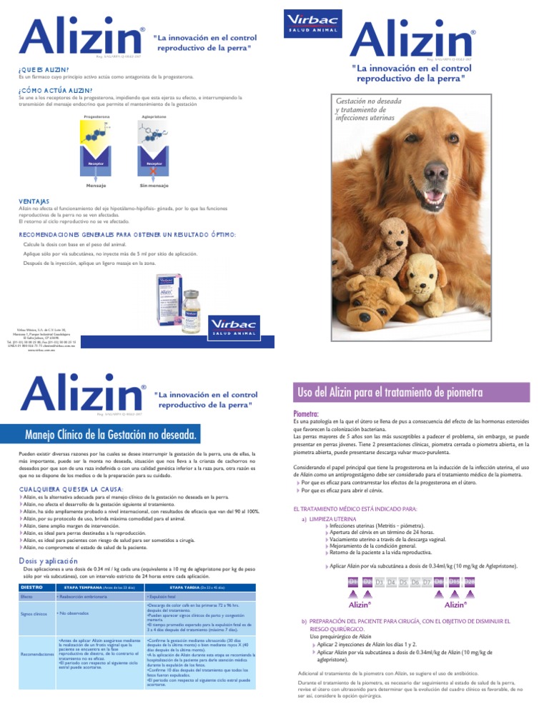 Alizin | PDF | Ciencias de la Salud | Reproducción humana