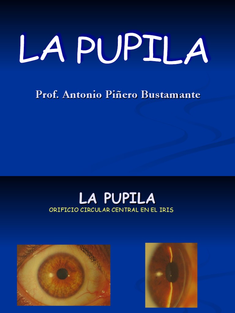 Exploración y Patología de la Pupila | PDF | Oftalmología | Anatomía humana