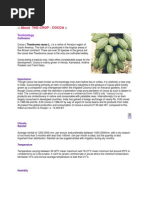 Ube Production Guide | PDF | Mulch | Fertilizer