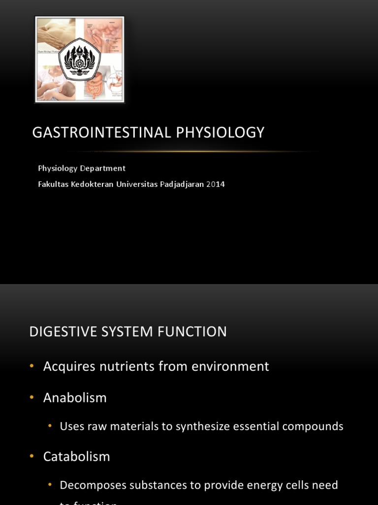Gastroenteric and Gastroileal Reflexes | PDF | Digestion | Large Intestine