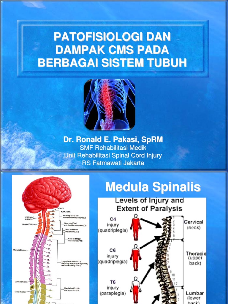 Patofisiologi dan Dampak Cedera Medula Spinalis (Spinal Cord Injury ...