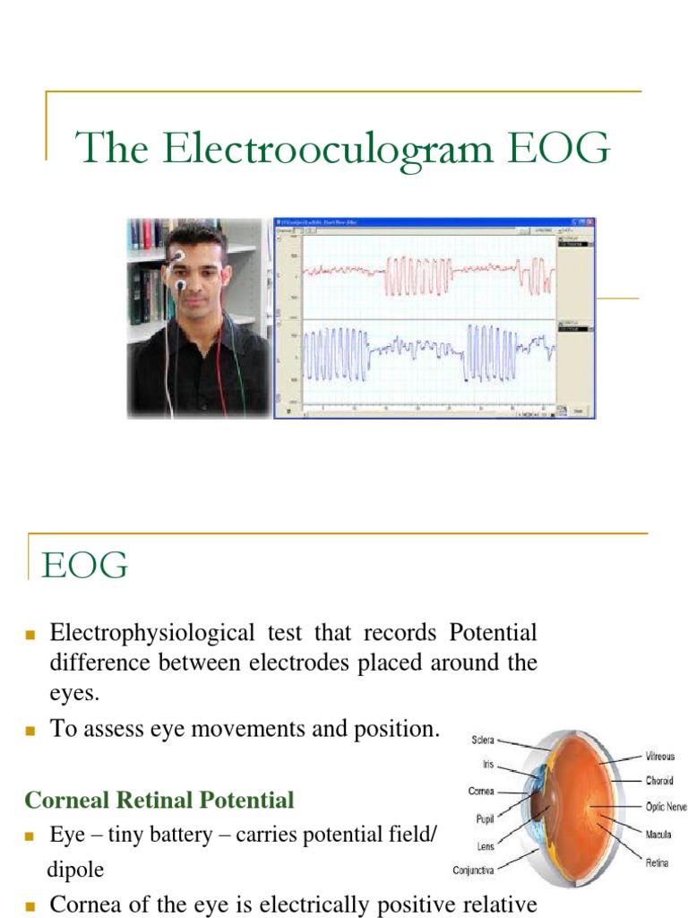 The Electrooculogram EOG | PDF | Eye | Electroencephalography