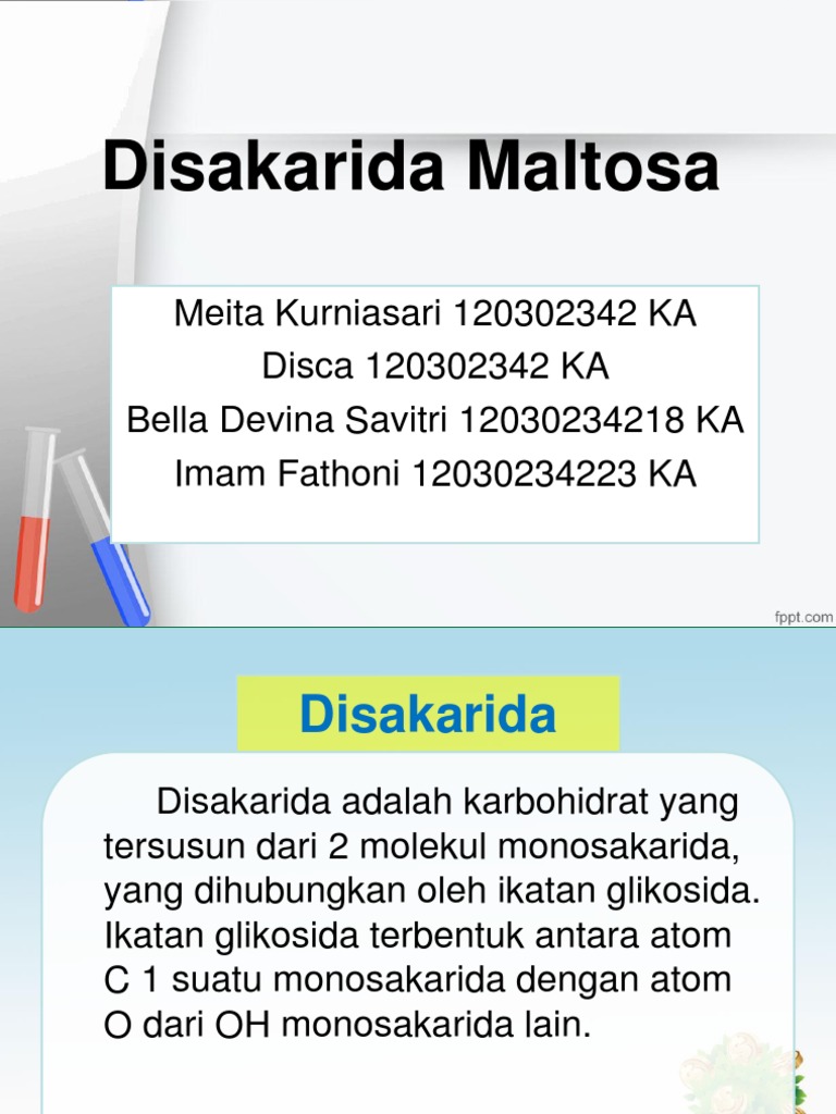 Disakarida Maltosa | PDF