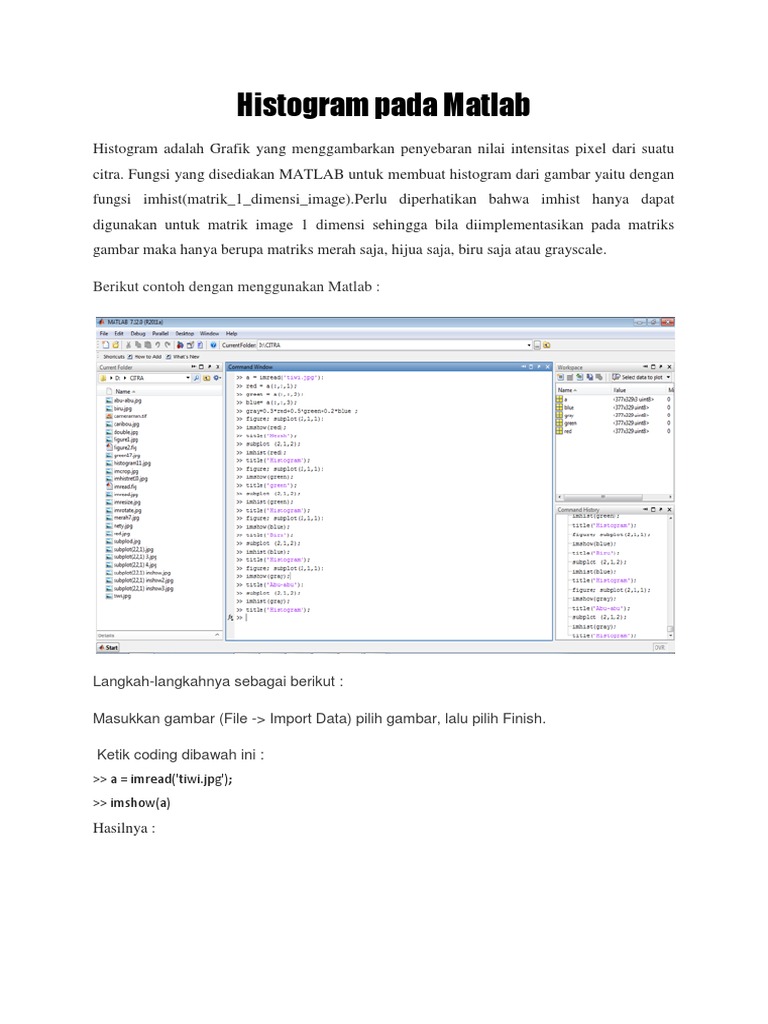 Histogram Pada Matlab | PDF
