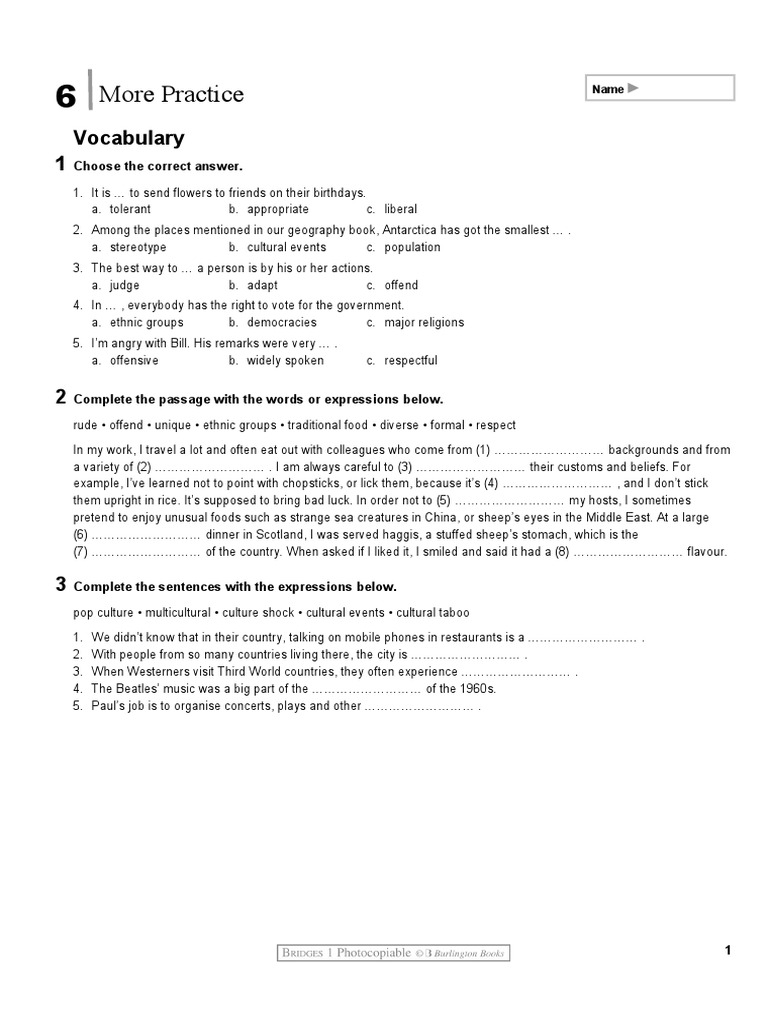 Brg1 AIO More Prac 6 | PDF