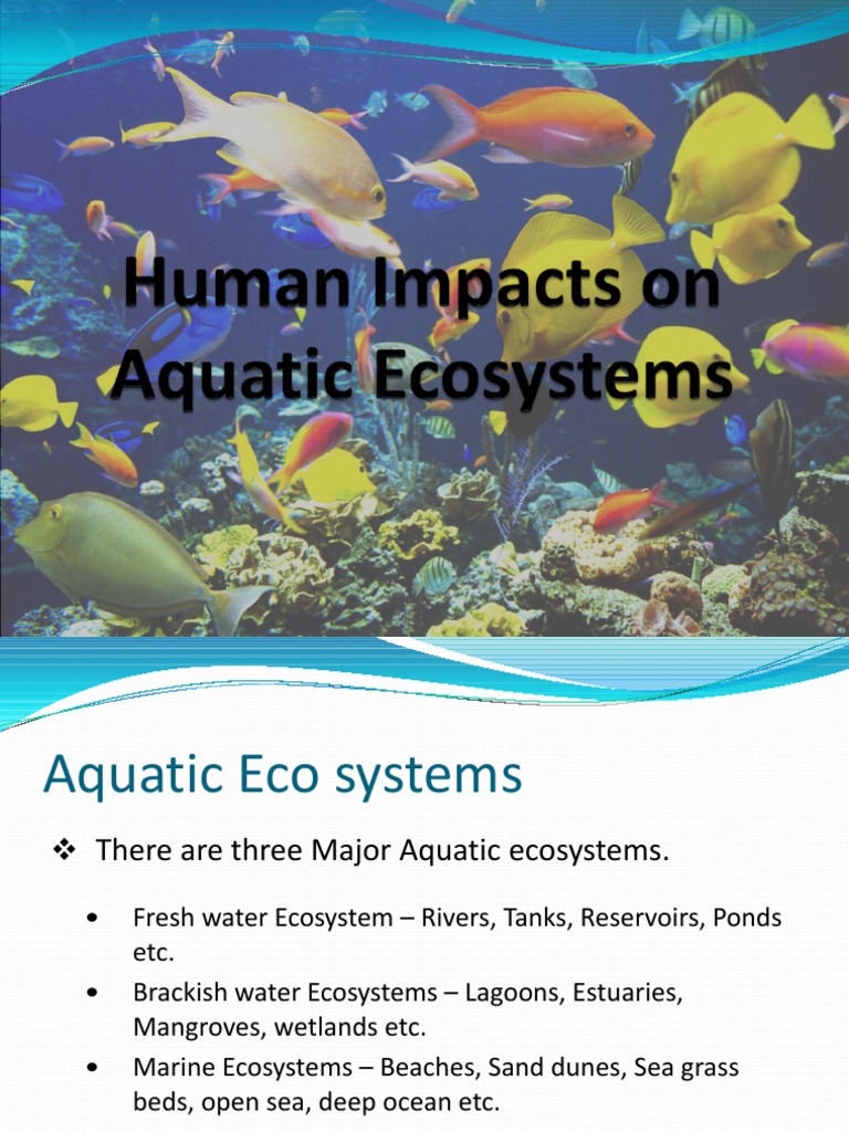 Human Impacts on Aquatic Ecosystems | PDF | Aquatic Ecosystem | Human ...