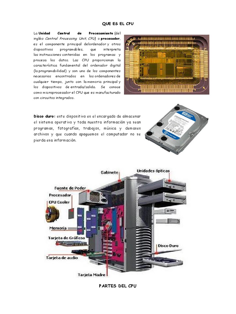 Que Es El Cpu | PDF | Unidad Central de procesamiento | Memoria del ...