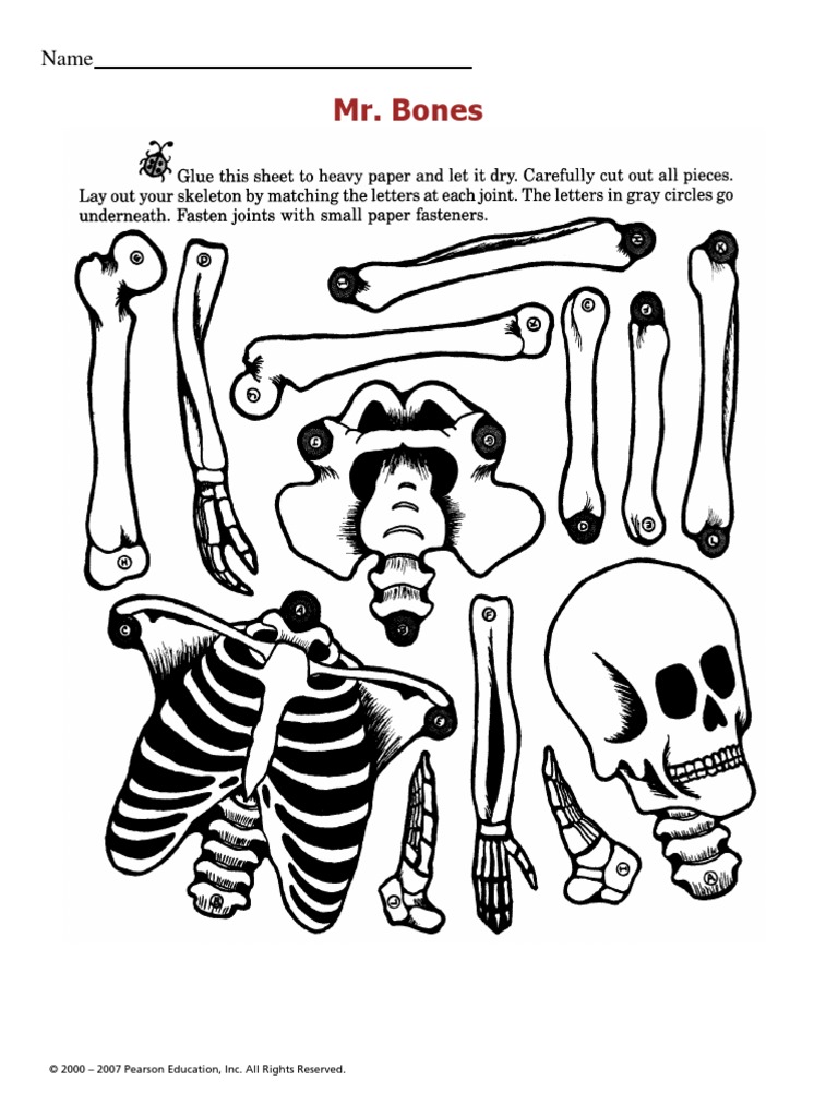 Mr. Bones: Pearson Education Overview | PDF