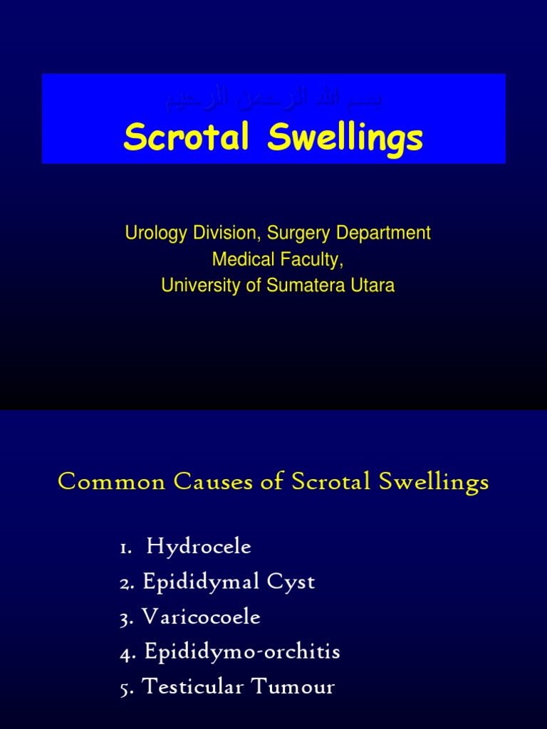 Scrotal Swelling | PDF | Neoplasms | Medical Specialties
