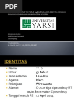 Fraktur Antebrachii | PDF