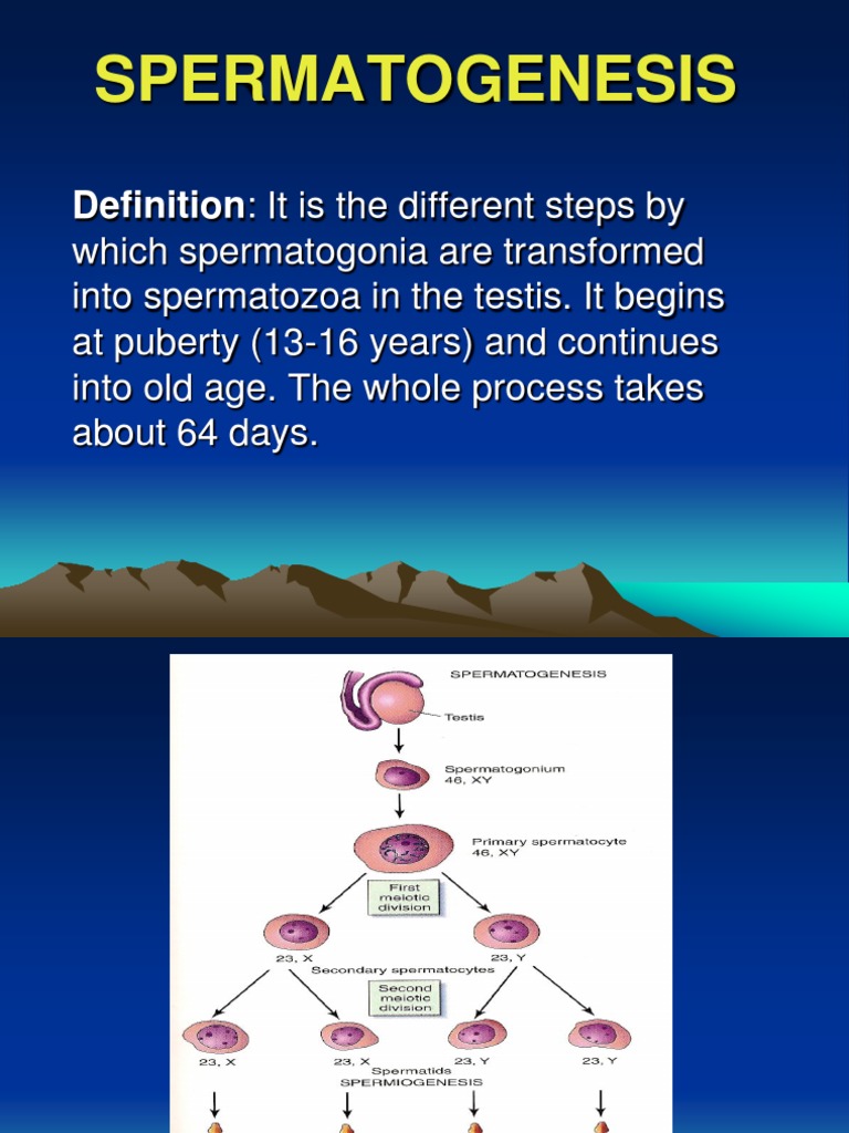 Spermatogenesis and Oogenesis | Meiosis | Ovary