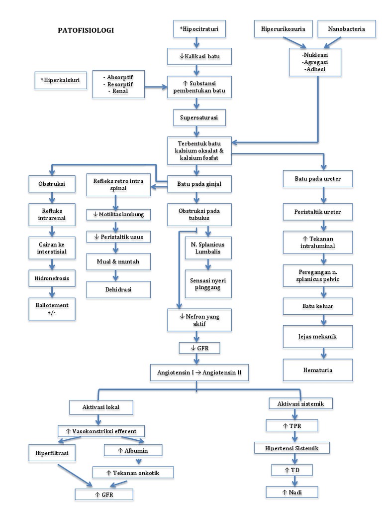 Patofisiologi PGK | PDF