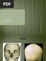 Gans Sensory Organization Performance (SOP) Test | PDF | Vertigo ...