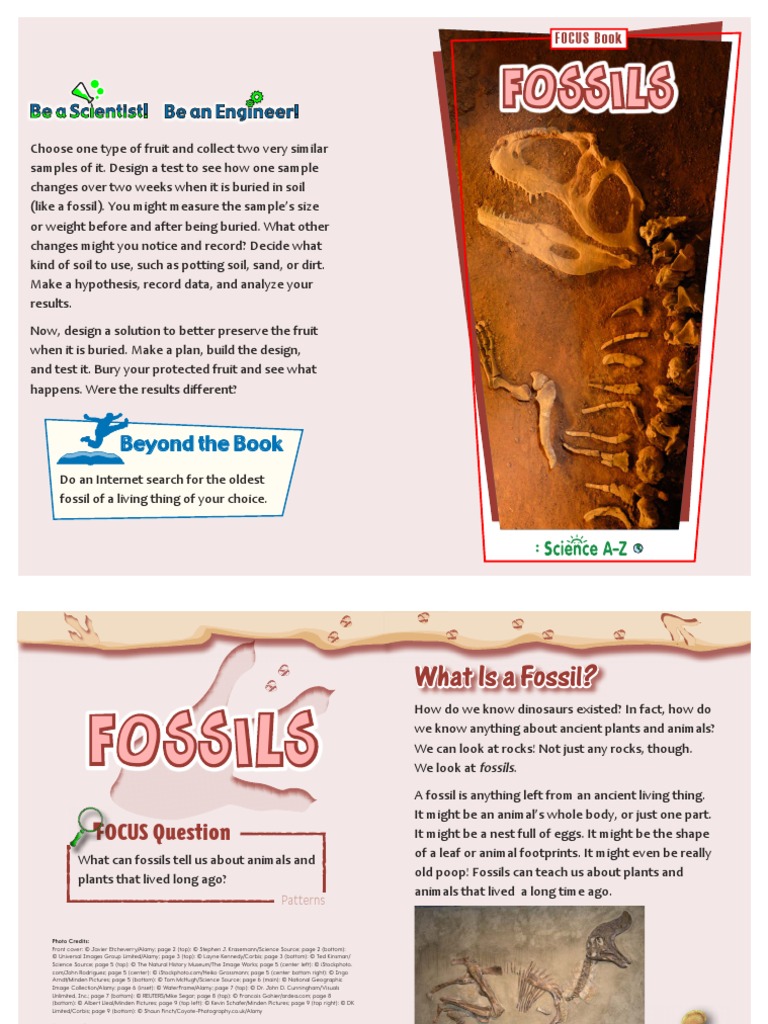 Fossil A-Z Book | Download Free PDF | Fossil | Paleontology