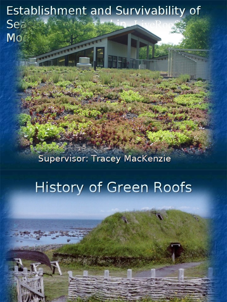 Resm 4000 Research Project: Student: Jamie Ellison Supervisor: Tracey ...