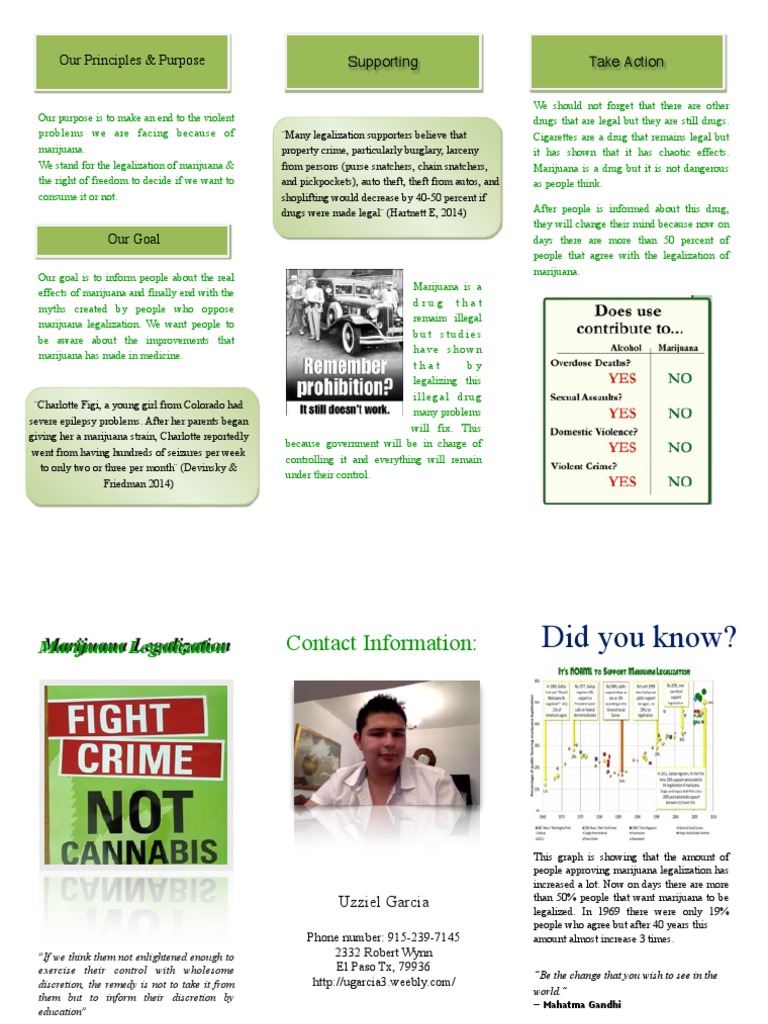 Final Brochure | Download Free PDF | Legality Of Cannabis | Cannabis (Drug)