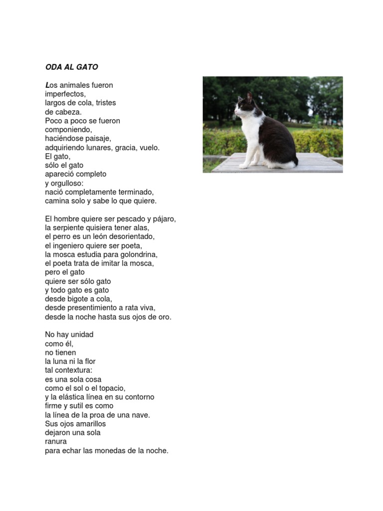 Oda al gato de Pablo Neruda | PDF | Gatos | Organismos