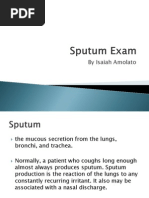 Normal and Abnormal Characteristic of Sputum | PDF | Lung | Respiratory ...