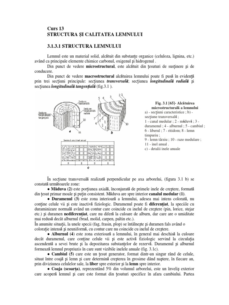 Curs.13 Lemn | PDF