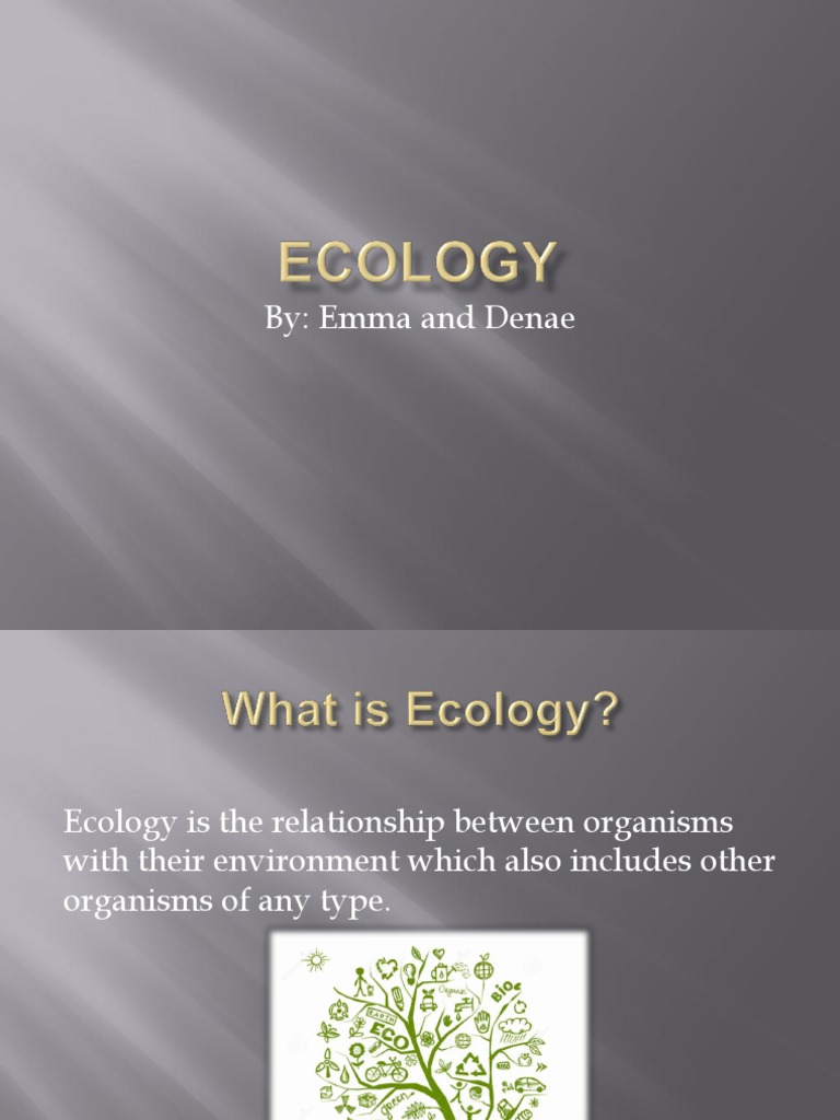 Understanding Key Ecology Concepts | PDF