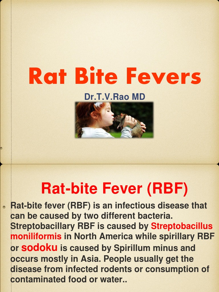 Rat Bite Fevers | PDF | Public Health | Clinical Pathology