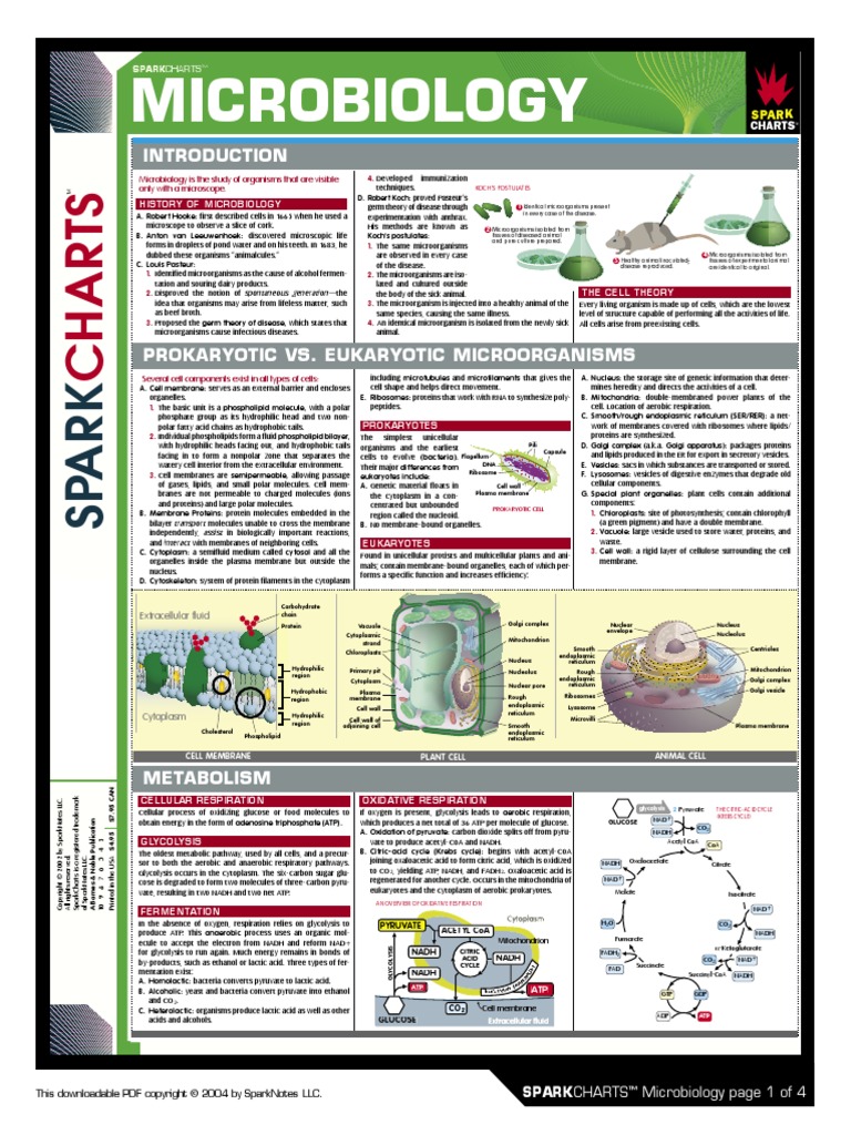(SparkCharts) SparkNotes Editors-Microbiology (SparkCharts ...