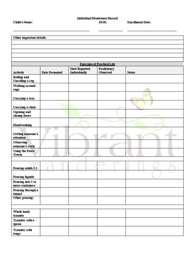 Individual Montessori Record | PDF | Noun | Fraction (Mathematics)