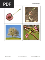 Children Around the World Montessori Cards | Politics