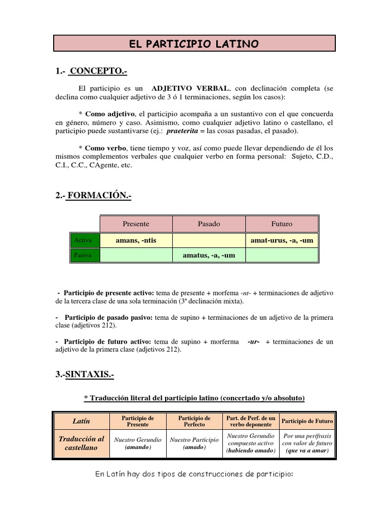 El Participio Latino (Nueva Versión) | Predicado (Gramática) | Verbo