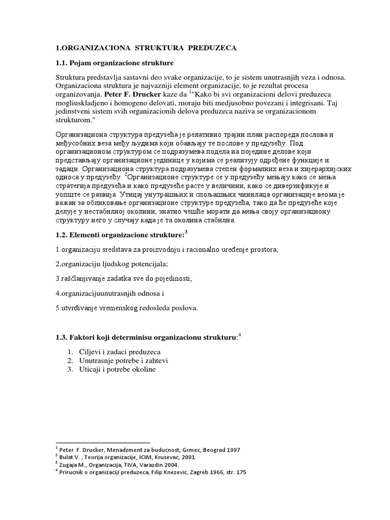 Organizaciona Struktura Preduzeca | PDF