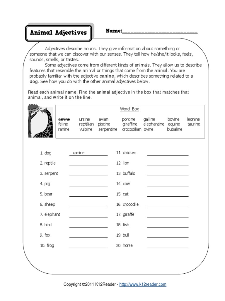 21 Animal Adjectives | PDF | Language Arts & Discipline | General Fiction
