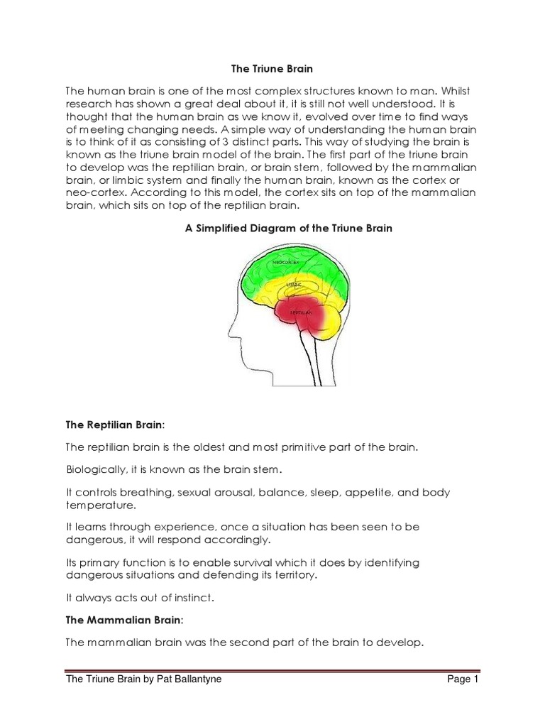 83-The Triune Brain | PDF | Brain | Psychological Trauma