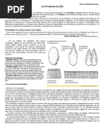 Cuadro Comparativo Paleolítico-Neolítico | PDF | Neolítico | Edad de Piedra