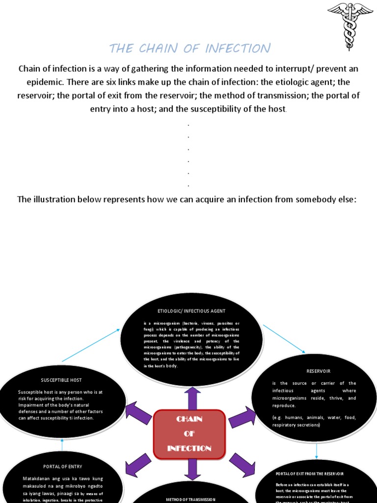 The Chain of Infection | PDF | Transmission (Medicine) | Infection