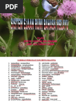 Latihan Karangan AKTIVITI RIADAH | PDF