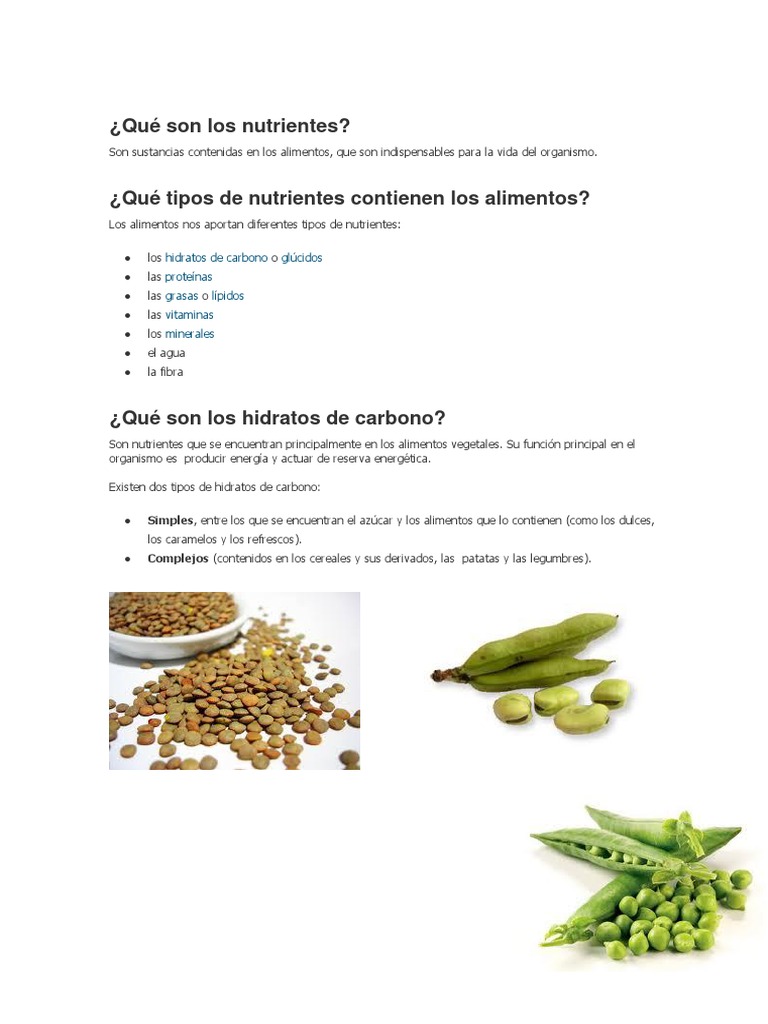 Guía Básica de Nutrientes | PDF