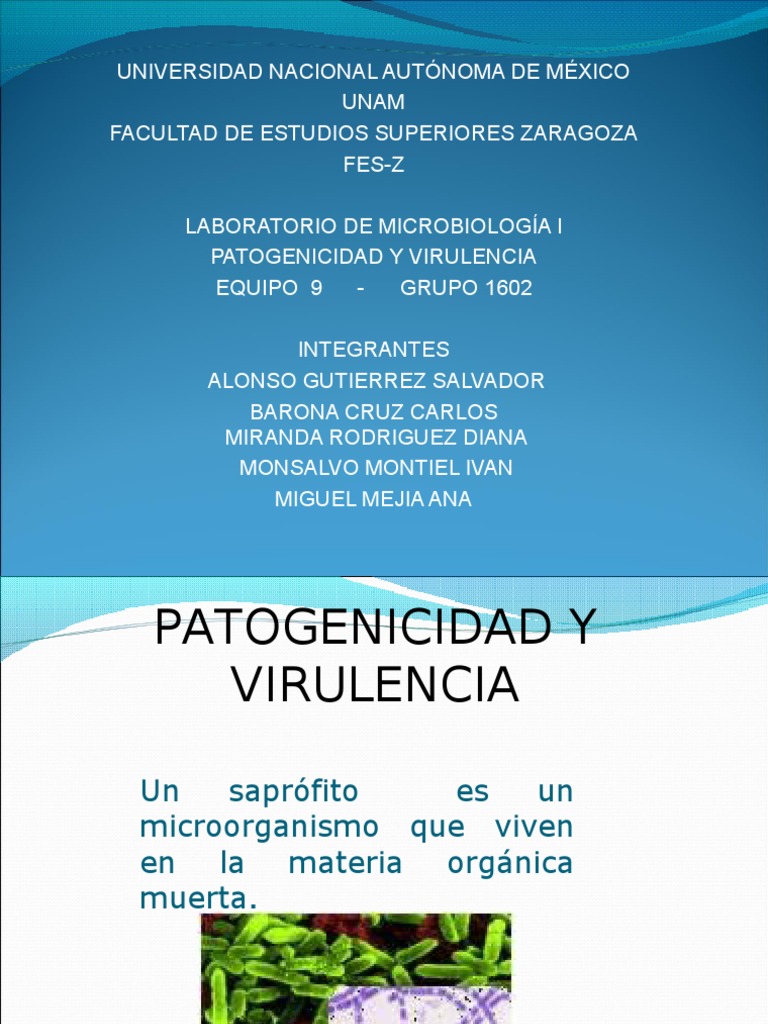 eq_9_patogenicidad_y_virulencia_microbiologia | Fagocito | Escherichia coli