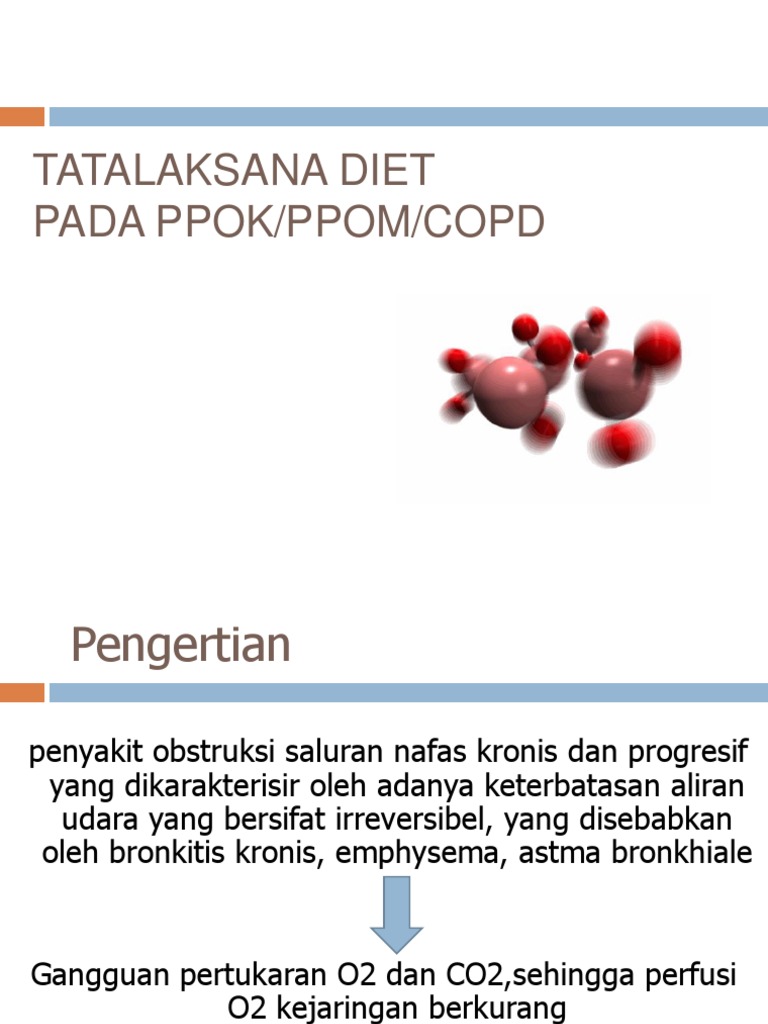 Diet Ppok - Perumperindo.co.id