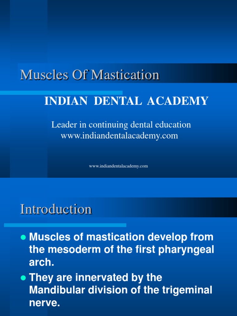 Muscles of Mastication 2 / Orthodontic Courses by Indian Dental Academy ...