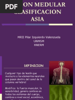 Escala de ASIA | PDF | Sistema nervioso | Médula espinal