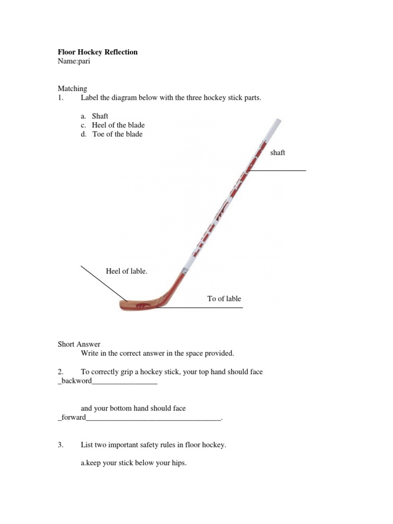Floor Hockey Reflection-2 | PDF | Home & Garden