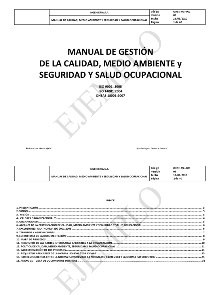 Manual Qhse Ejemplo | PDF | Calidad (comercial) | Contabilidad