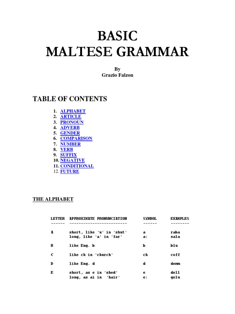 Basic Maltese Grammar | PDF | Grammatical Number | English Language