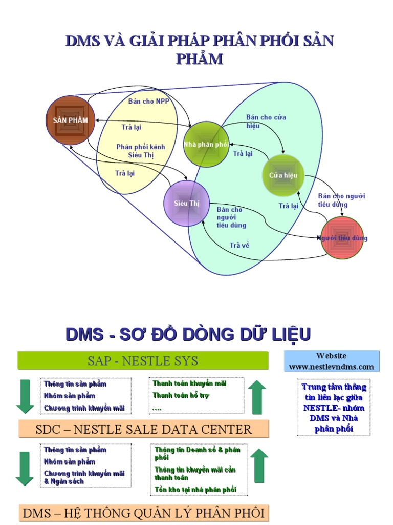 DMS Software Introduction | PDF