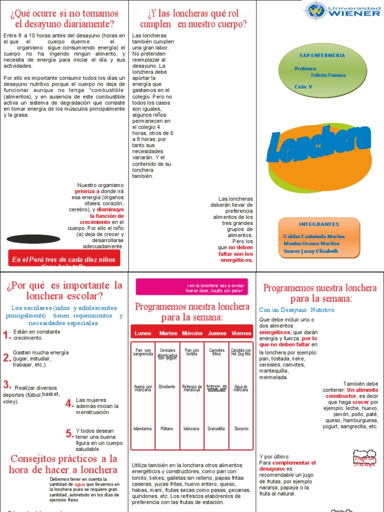 Triptico Lonchera | PDF | Alimentos | Nutrición